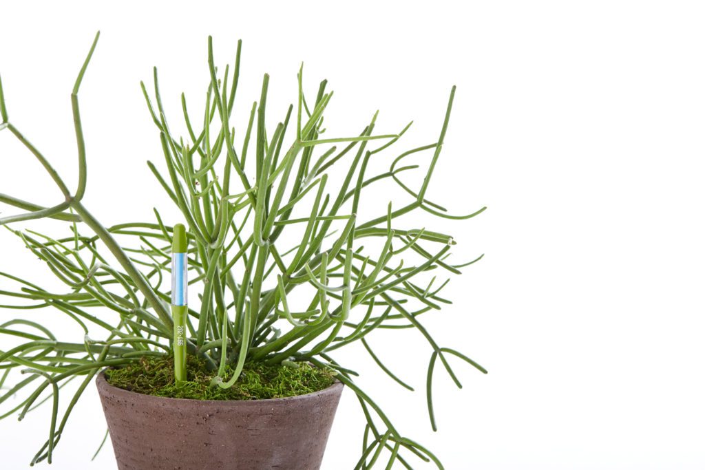 Home - Sustee Aquameter - IPPINKA