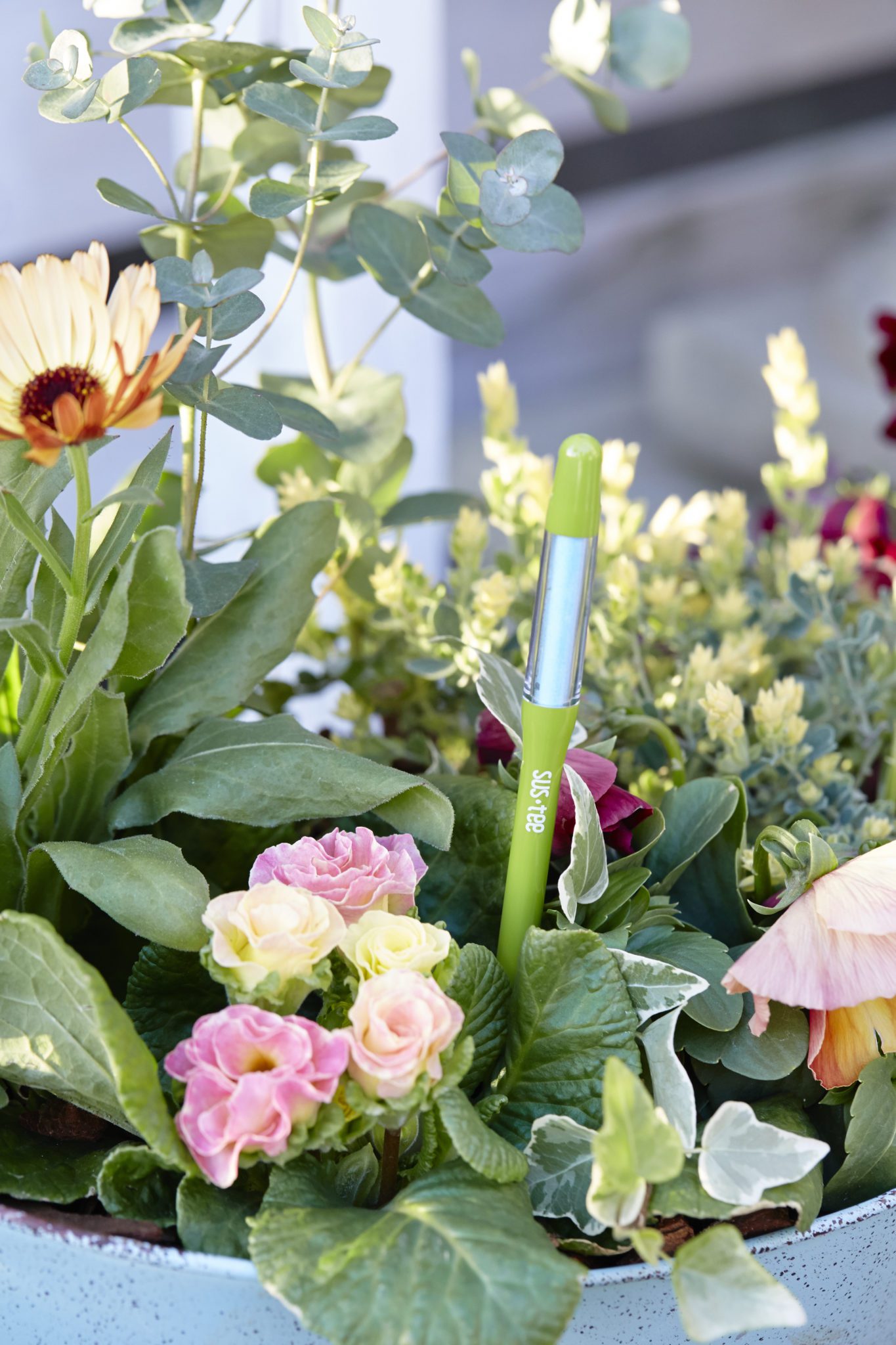 Home - Sustee Aquameter - IPPINKA